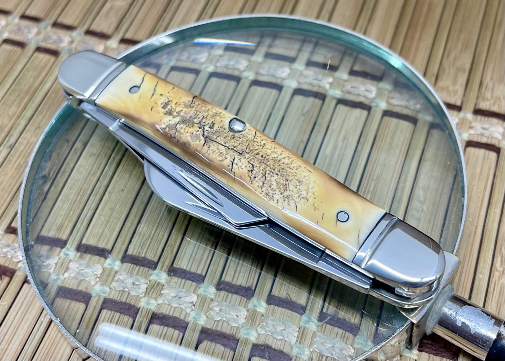 case mammoth bark big stockman - Ultra Rare 2009 Exotic